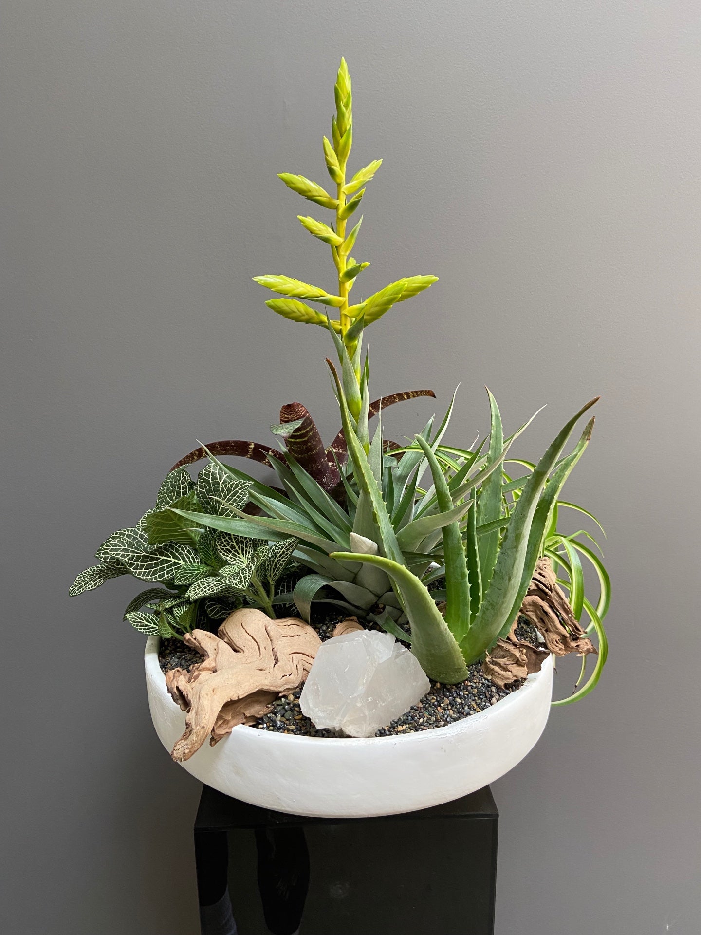 Premium Mixed Planter – GillyFlowers